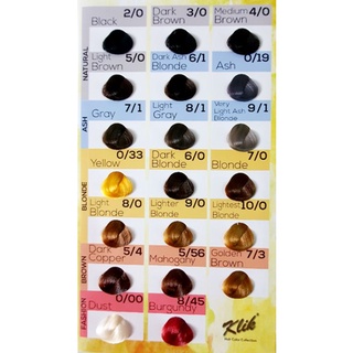 KLIK Permanent Hair Color Set (ASH) | Shopee Philippines