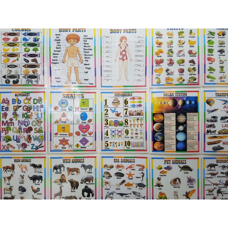 Laminated Educational Chart 8.5x11 Batch 3 | Shopee Philippines