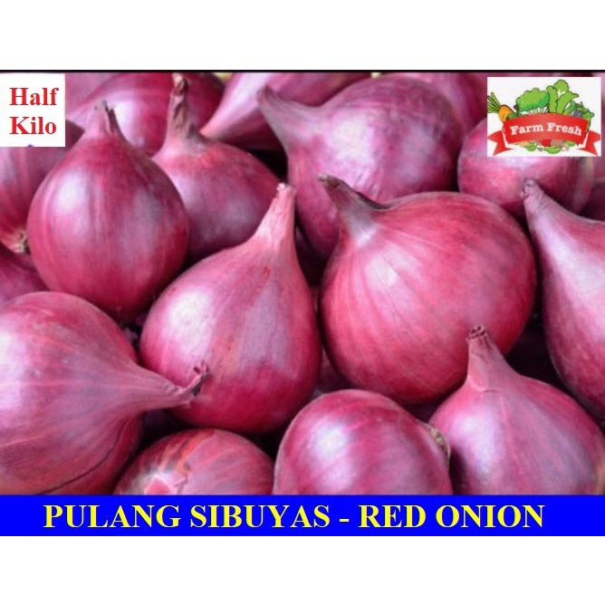 SIBUYAS NA PULA - RED ONION ( HALF KILO - 500GRAMS) | Shopee Philippines