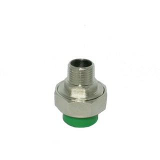 MOLDEX EcoSafe PPR Male Threaded Union | Shopee Philippines