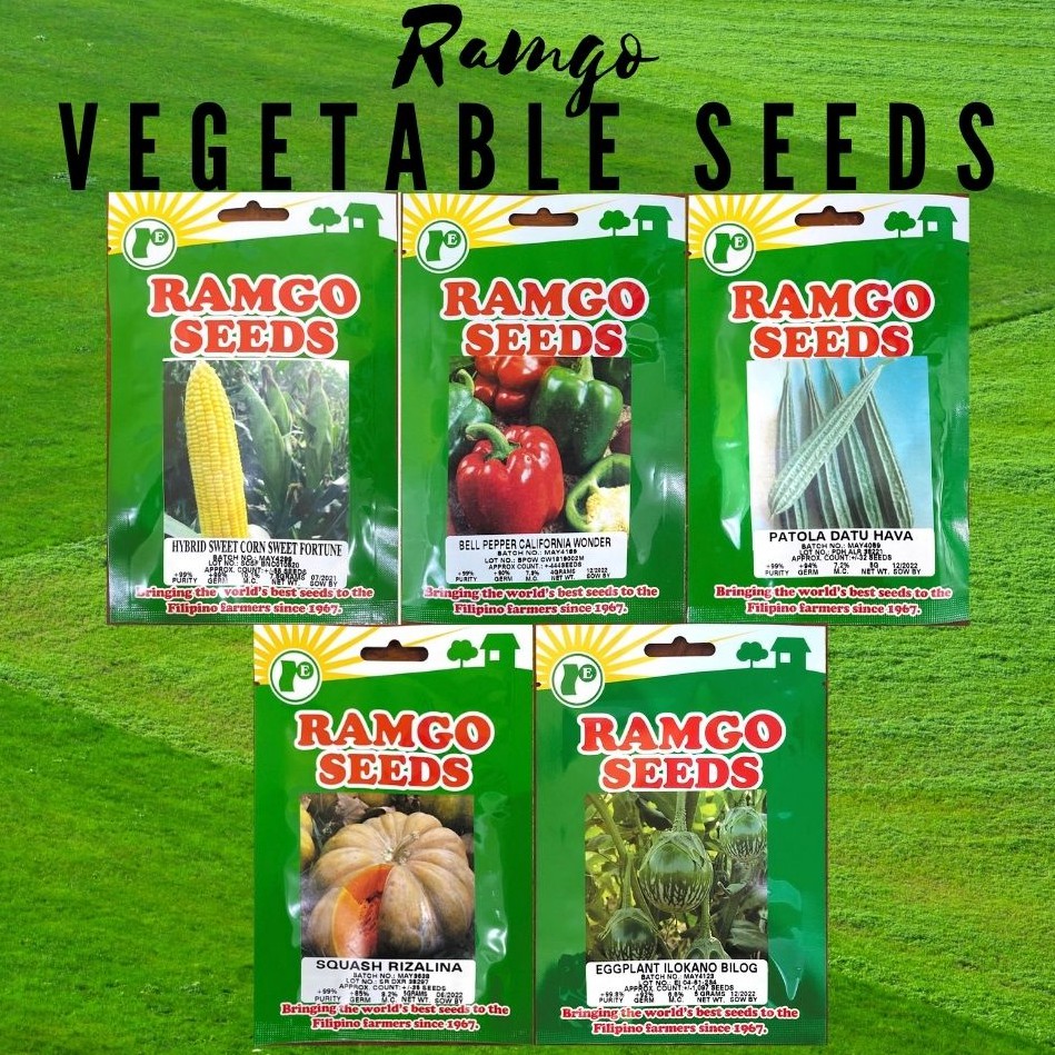 Ramgo VEGETABLE Seeds (Corn, Bell Pepper, Patola, Squash, KangKong ...