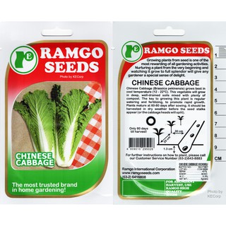 Ramgo Seeds Sold Per Pack Per Variety - Alugbati Cabbage Bunching Onion ...