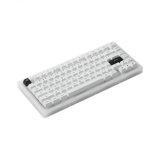 AKKO ACR Pro 75 RGB Hot-Swappable Mechanical Keyboard (Akko Crystal ...