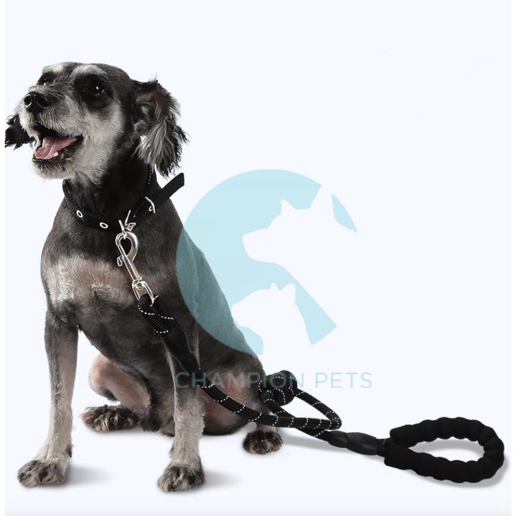 Dog rope nylon rope medium and large dog rope cat rope outdoor walking ...