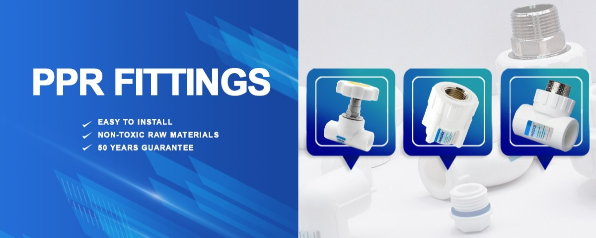 Phildex, Online Shop | Shopee Philippines