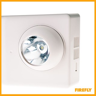 Firefly Dual Optics - FEL205L | Shopee Philippines