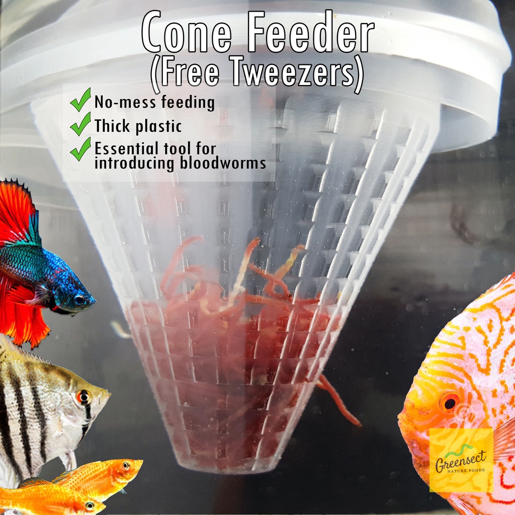 3pcs CONE FEEDER with tweezers for Bloodworms Tubifex feeding tool for ...