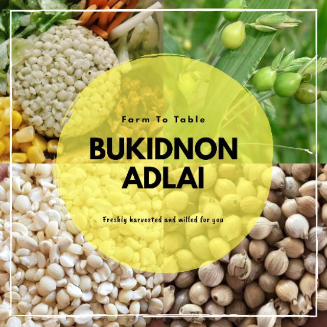 Organic Adlai Adlay Rice Grits Job's Tears (5KG) | Shopee Philippines