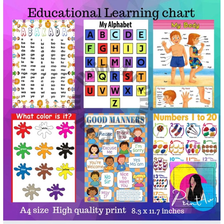 set of 6 kids educational learning chart A4 Laminated | Shopee Philippines