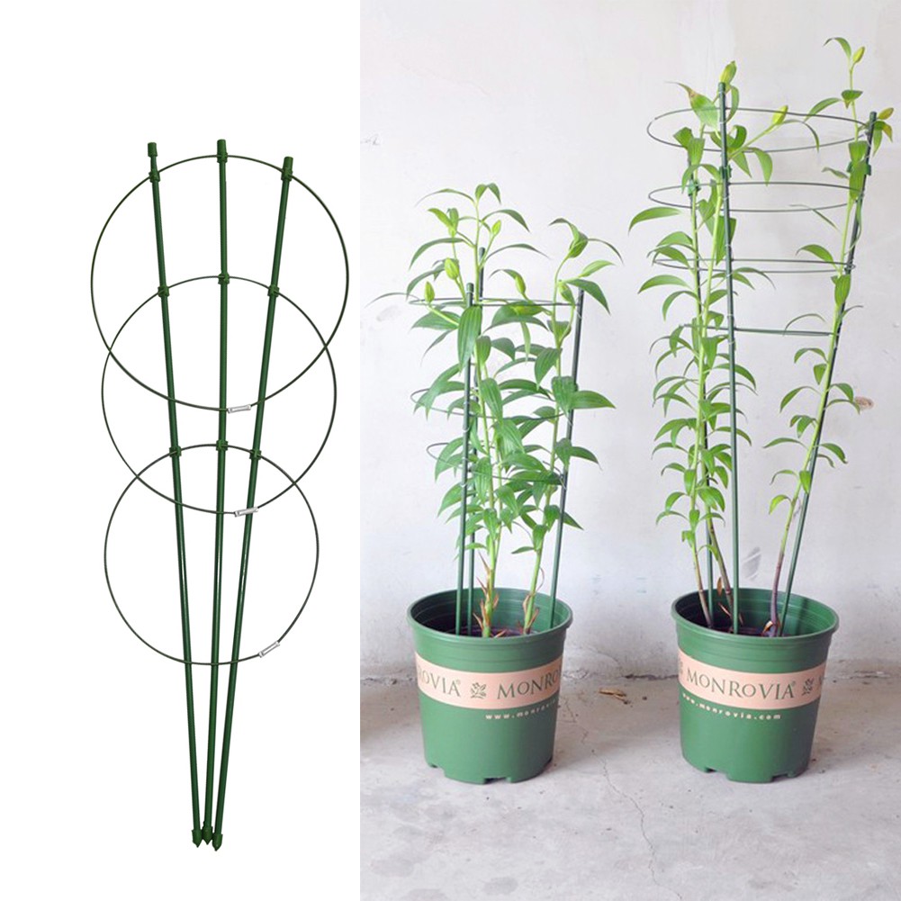 Plant support frame 45 cm / 60 cm Plant flower climbing frame Grape ...