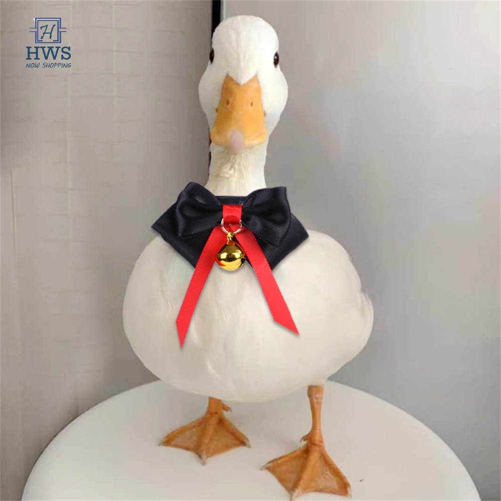 Chicken Collar with Bell Duck Collar Goose Collar Adjustable Garment ...
