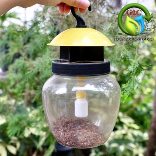 Fruit Fly Trap only (add Methyl Eugenol) | Shopee Philippines
