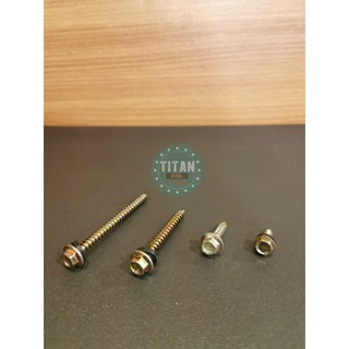 100pcs - Tek Screw / Tekscrew for WOOD (Self-Tapping) | Shopee Philippines