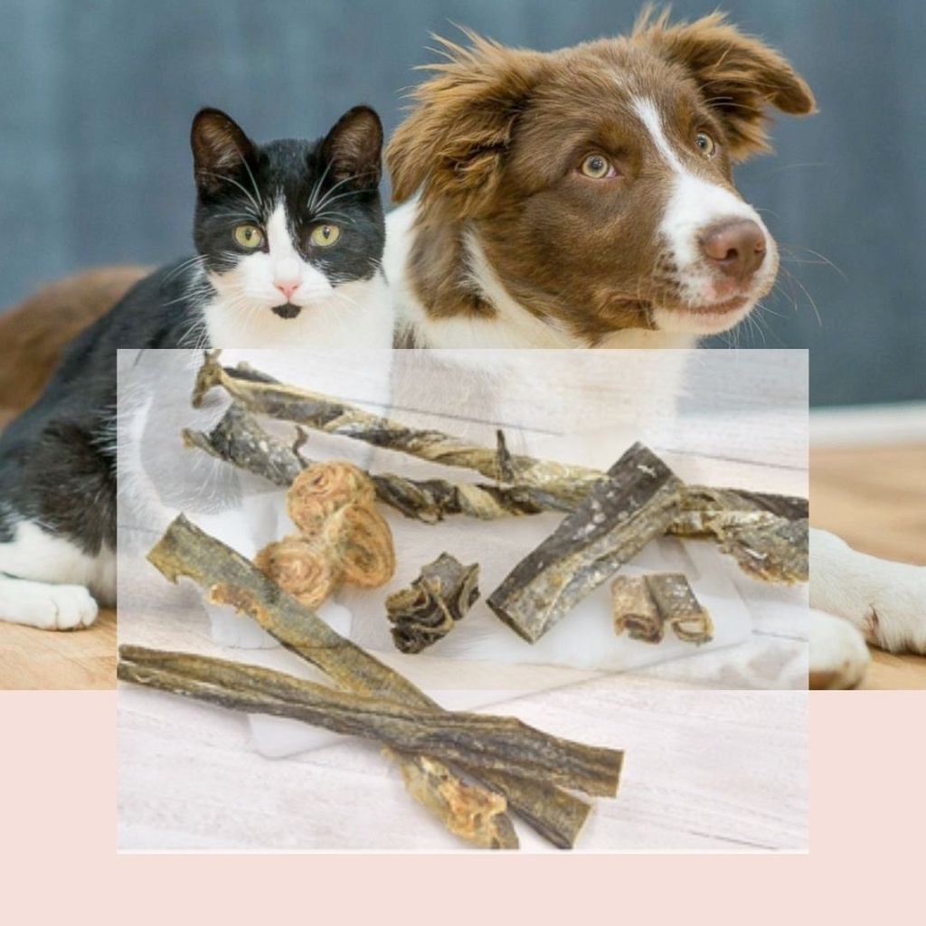 Cod Supreme Fish Skin for CAT & DOG, kucing / anjing | Shopee Philippines