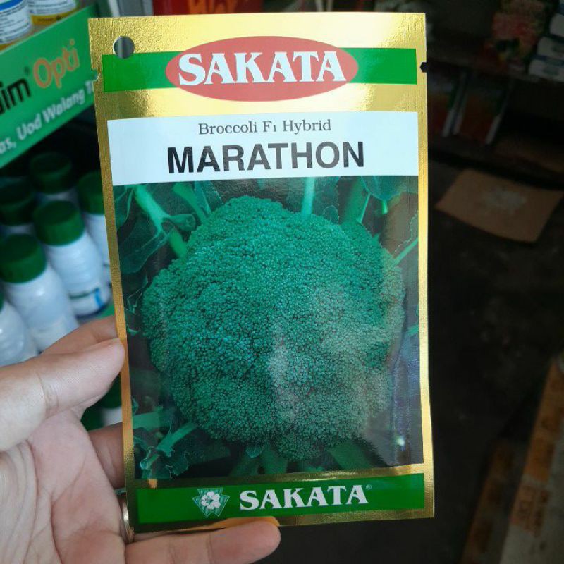 Sakata Seeds- Hybrid Broccoli F1 (Marathon) | Shopee Philippines