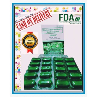 sambong - Best Prices and Online Promos - Mar 2023 | Shopee Philippines