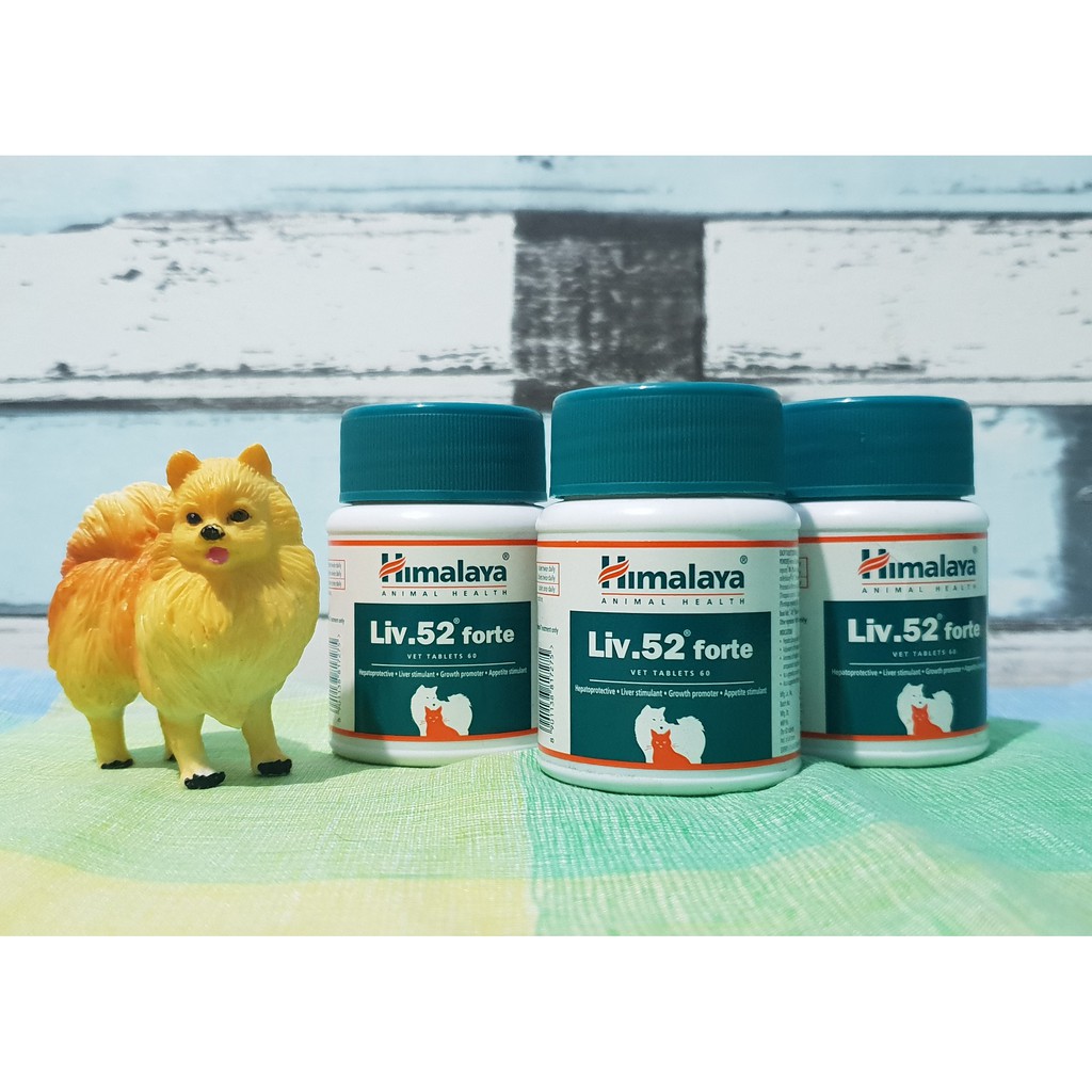 Himalaya Liv 52 Forte Vet Tablets for Liver Care of Dogs and Cats (60 ...