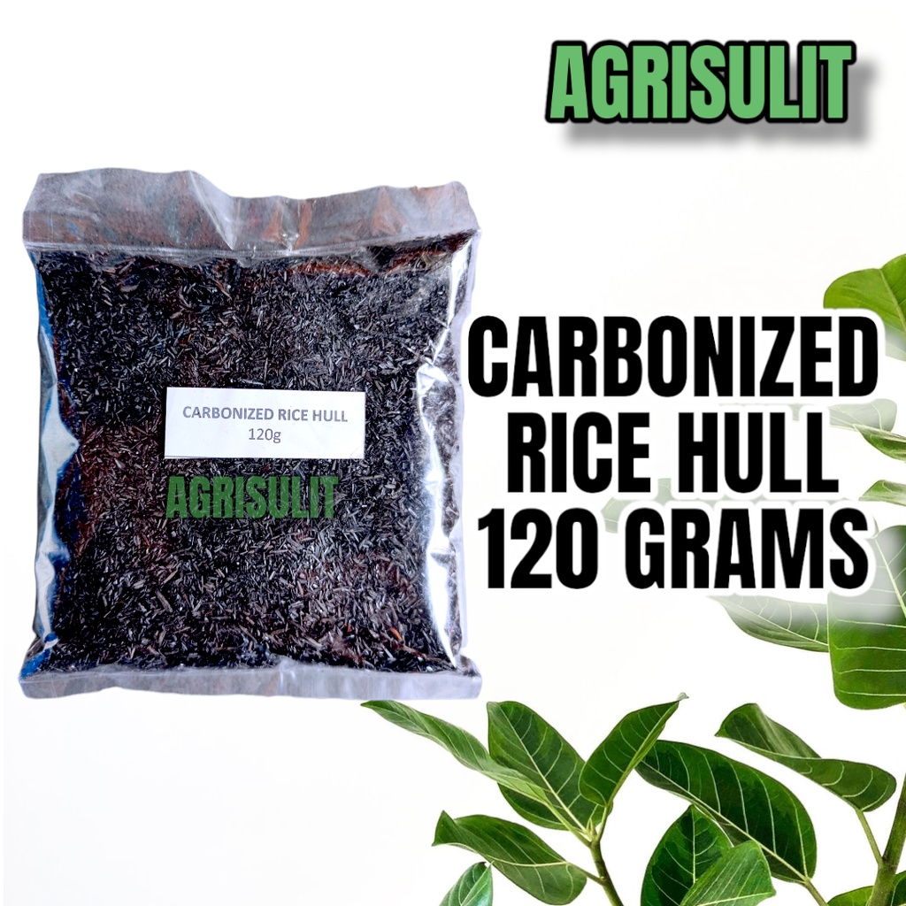 CARBONIZED RICE HULL 120 GRAMS (SUNOG NA IPA) | Shopee Philippines