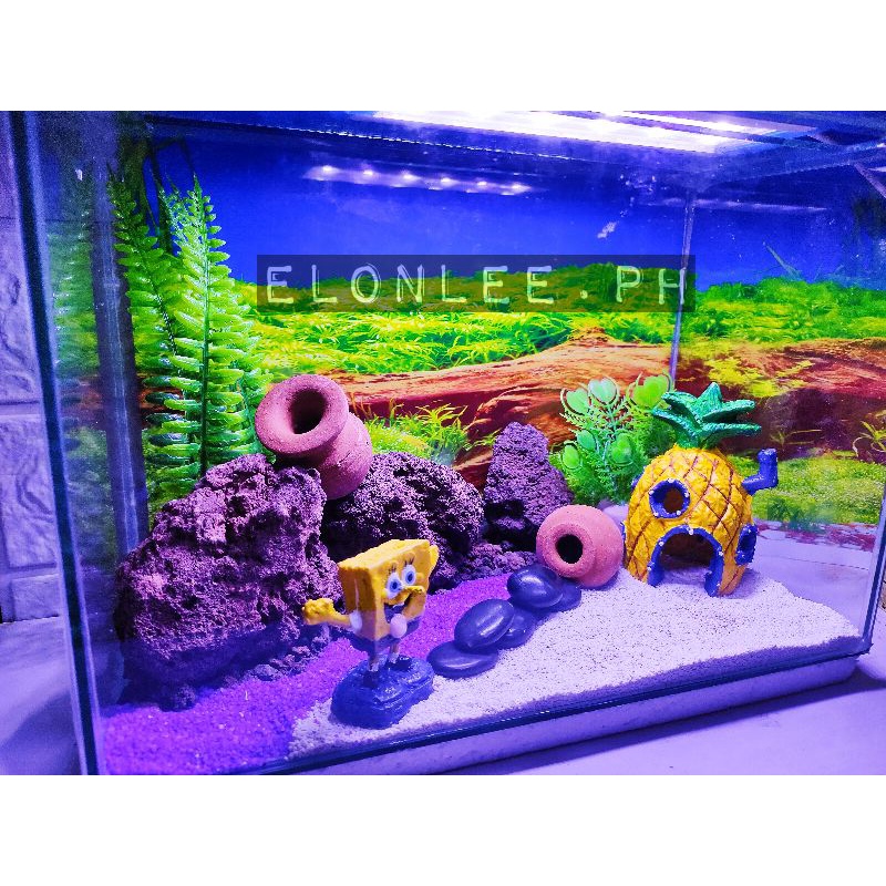 AQUARIUM COMPLETE SET | Shopee Philippines