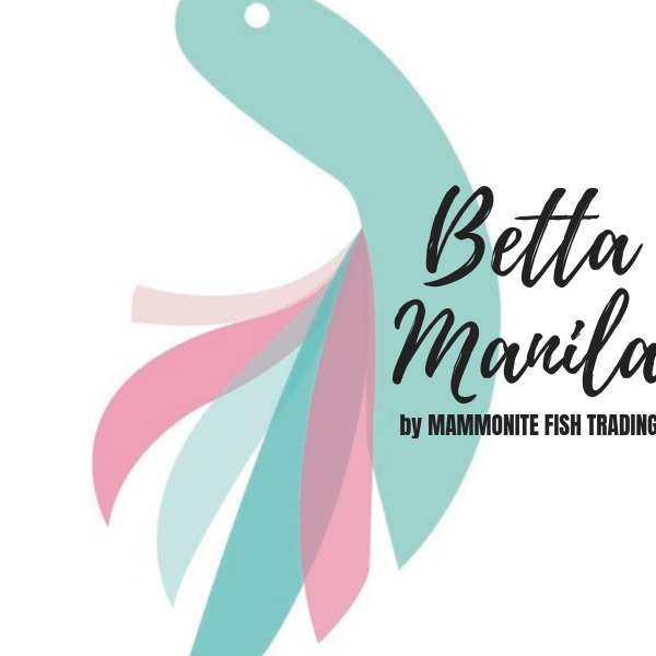 Mammonite Fish Trading, Online Shop | Shopee Philippines