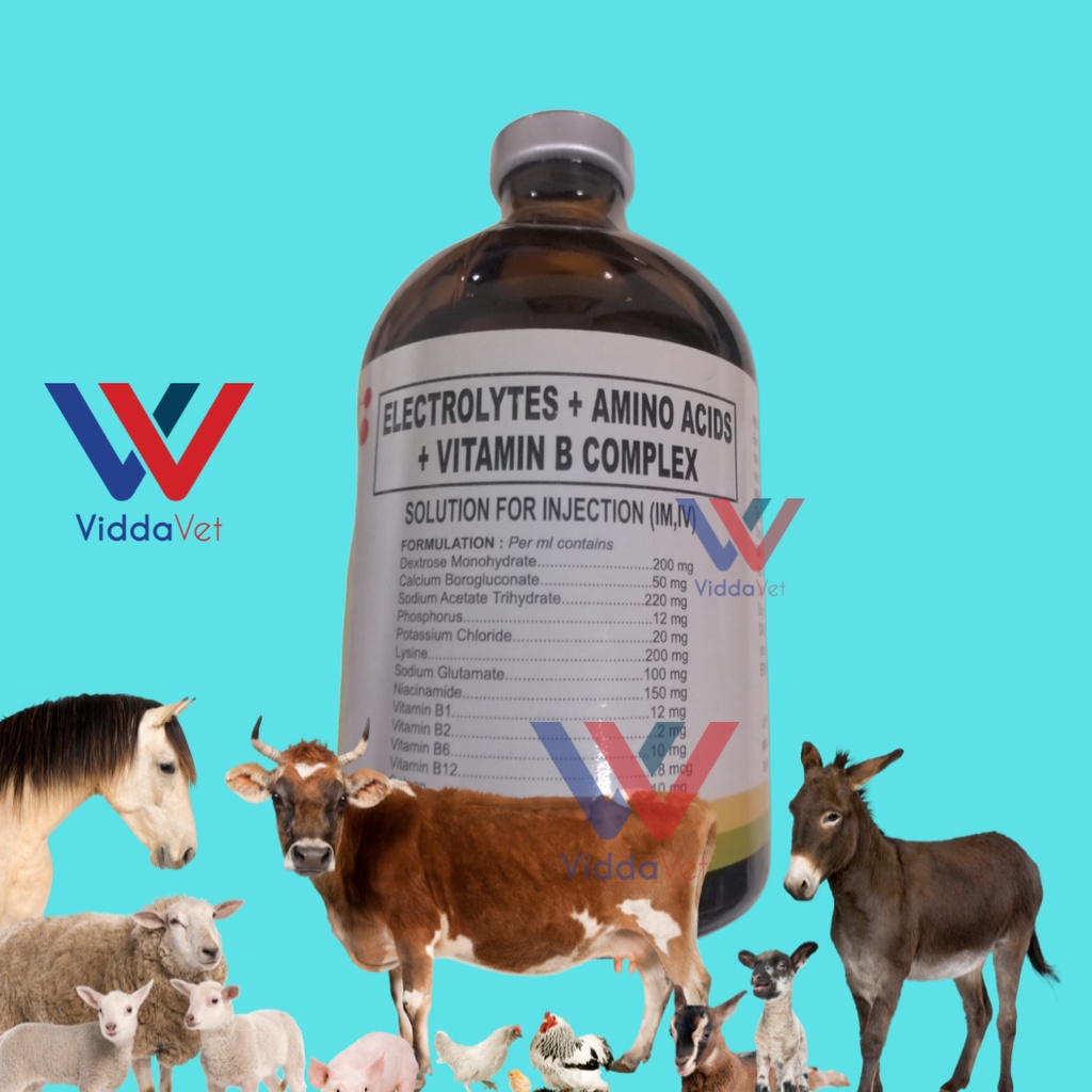 Dextrolyte Electrolytes + Amino Acids + Vitamin B Complex (100 ml) for ...