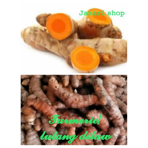 Turmeric Luyang dilaw (1/2kilo ) | Shopee Philippines
