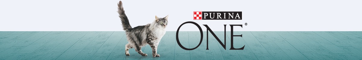 PURINA OFFICIAL STORE, Online Shop | Shopee Philippines