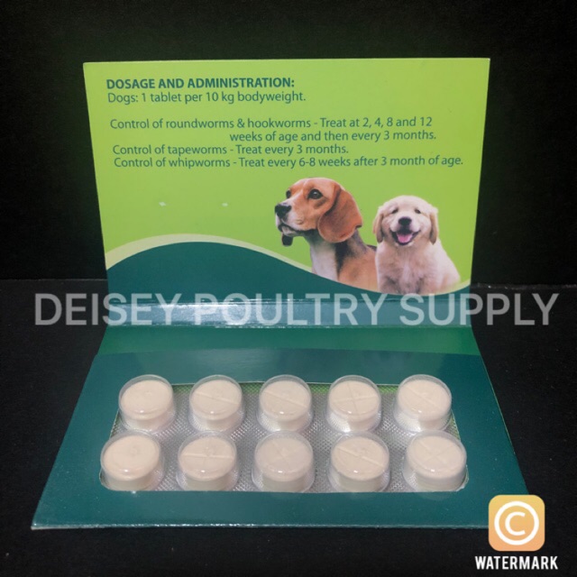 Wormguard Deworming Tablet for Dogs (10 TABLETS) | Shopee Philippines