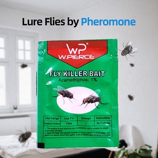 (10 PCS BAG) Fly Killing Bait Powder Flies Killer Fly Attractant ...