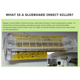 Glupac Glue Board For Insect Killer Plus Light | Shopee Philippines