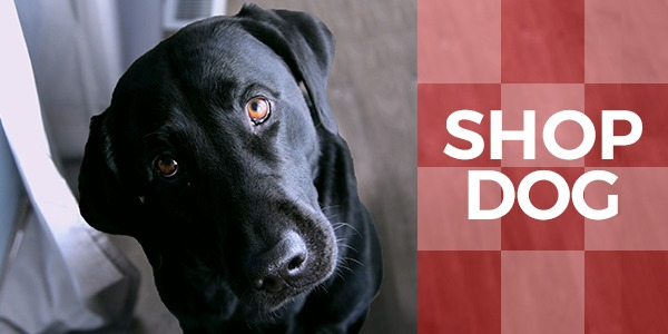 PURINA OFFICIAL STORE, Online Shop | Shopee Philippines