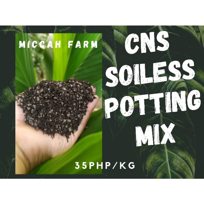 CnS Potting mix| Cactus and succulents soiless potting mix | Shopee ...