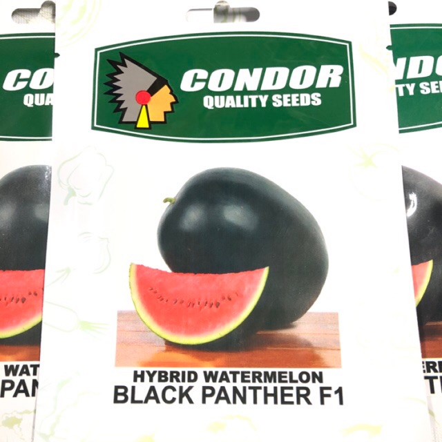 HYBRID WATERMELON PAKWAN SEED (ASSORTED VARIETY) | Shopee Philippines