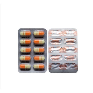 biogesic - Best Prices and Online Promos - Jan 2023 | Shopee Philippines