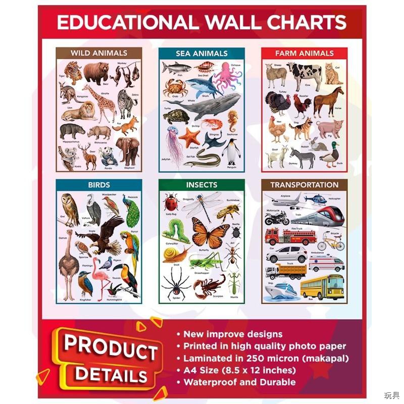 Educational laminated wall charts A4 size alphabets numbers animals ...
