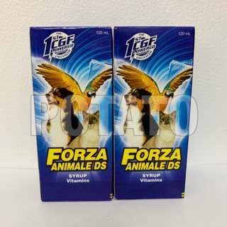 ds - Prices and Online Deals - Apr 2020 | Shopee Philippines