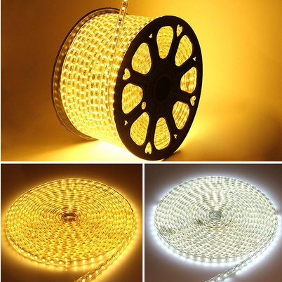 8MM led strip lights 5050 led strip IP44 220v Power plug purchased ...