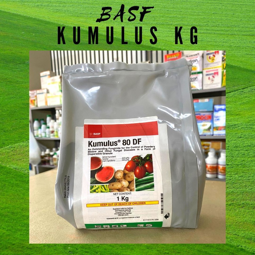 KUMULUS 80 DF Fungicide 1Kg | Shopee Philippines