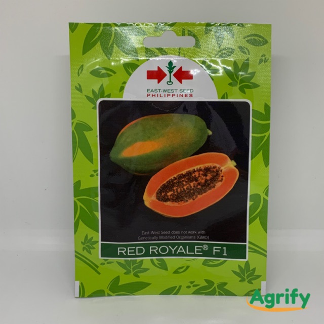 Red Royale F1 EastWest Papaya Seeds | Shopee Philippines
