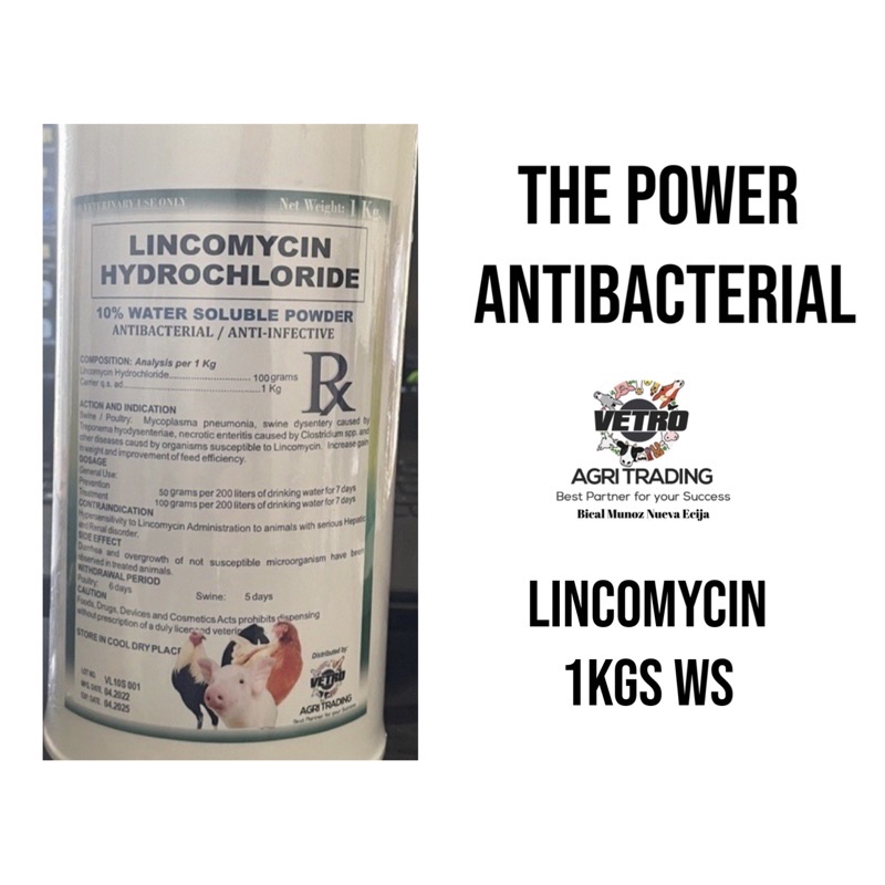 LINCOMYCIN 10% WS CANNISTER 1kgs | Shopee Philippines