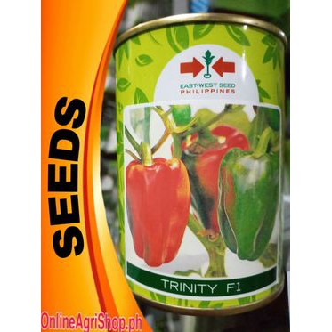 TRINITY F1 (25 GRAMS) HYBRID BELL PEPPER BY EAST WEST SEEDS | Shopee ...