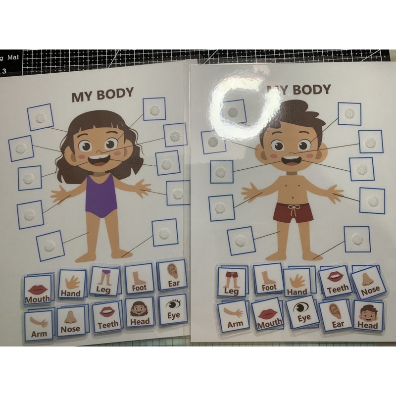 Parts of the Body Laminated Velco Activity 250 microns A4size | Shopee ...