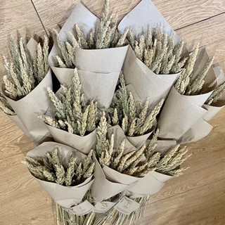 Dried Flower Trigo/Wheat | Shopee Philippines