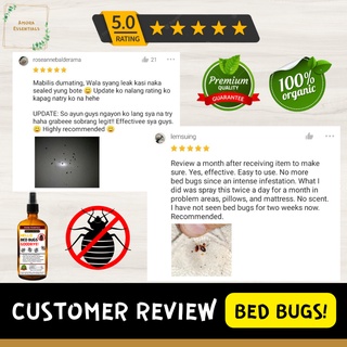 AMORA Essentials BED BUG Bed bugs spray solution, Bed bugs spray killer, Bed bugs solution, bed ...