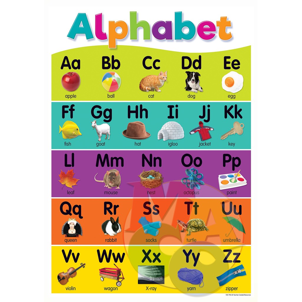 Laminated Alphabet Chart | A4 Size | ABC Educational Wall Chart Early ...