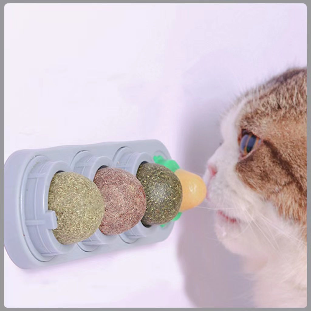 4Pcak Catnip Ball Toy For Cats, Detachable Cat mint Treats Catnip Candy Kitten Toy | Shopee ...
