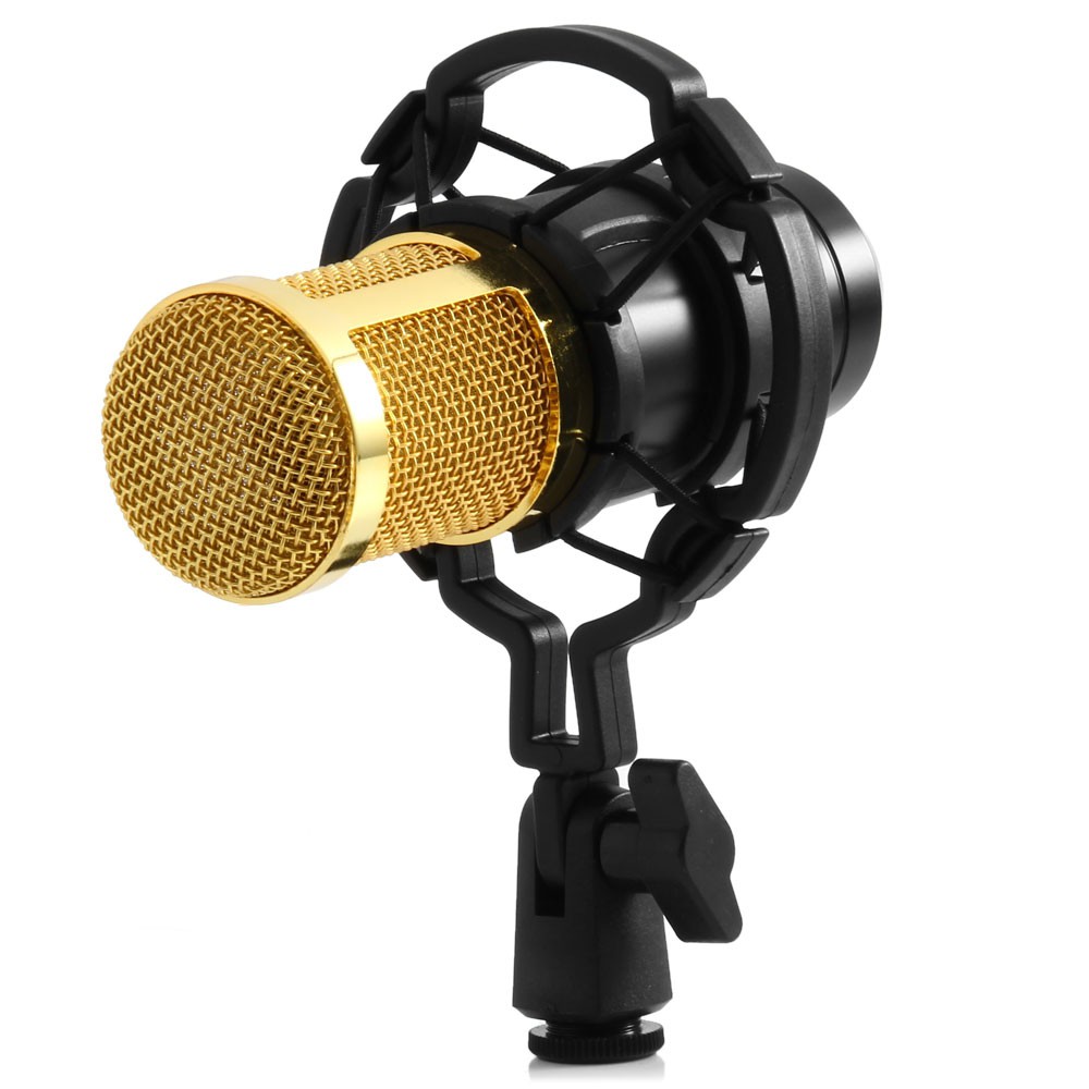 TNJ BM-800 Professional Condenser Microphone | Shopee Philippines