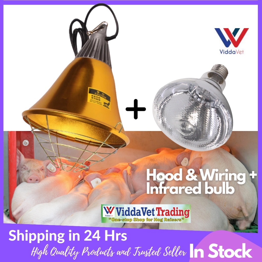 Viddavet brooder lamp set with bulb brooding lamp 1 Set Golden heat ...