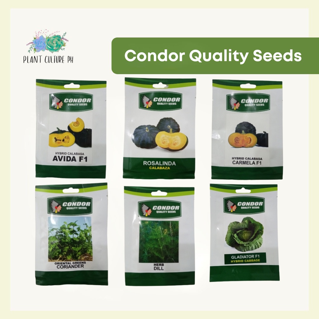 Condor Quality Seeds Varieties(Ampalaya, Calabasa, Cucumber, Upo ...