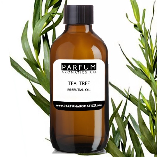 Tea Tree Essential Oil (Undiluted & Therapeutic Grade) | Shopee Philippines